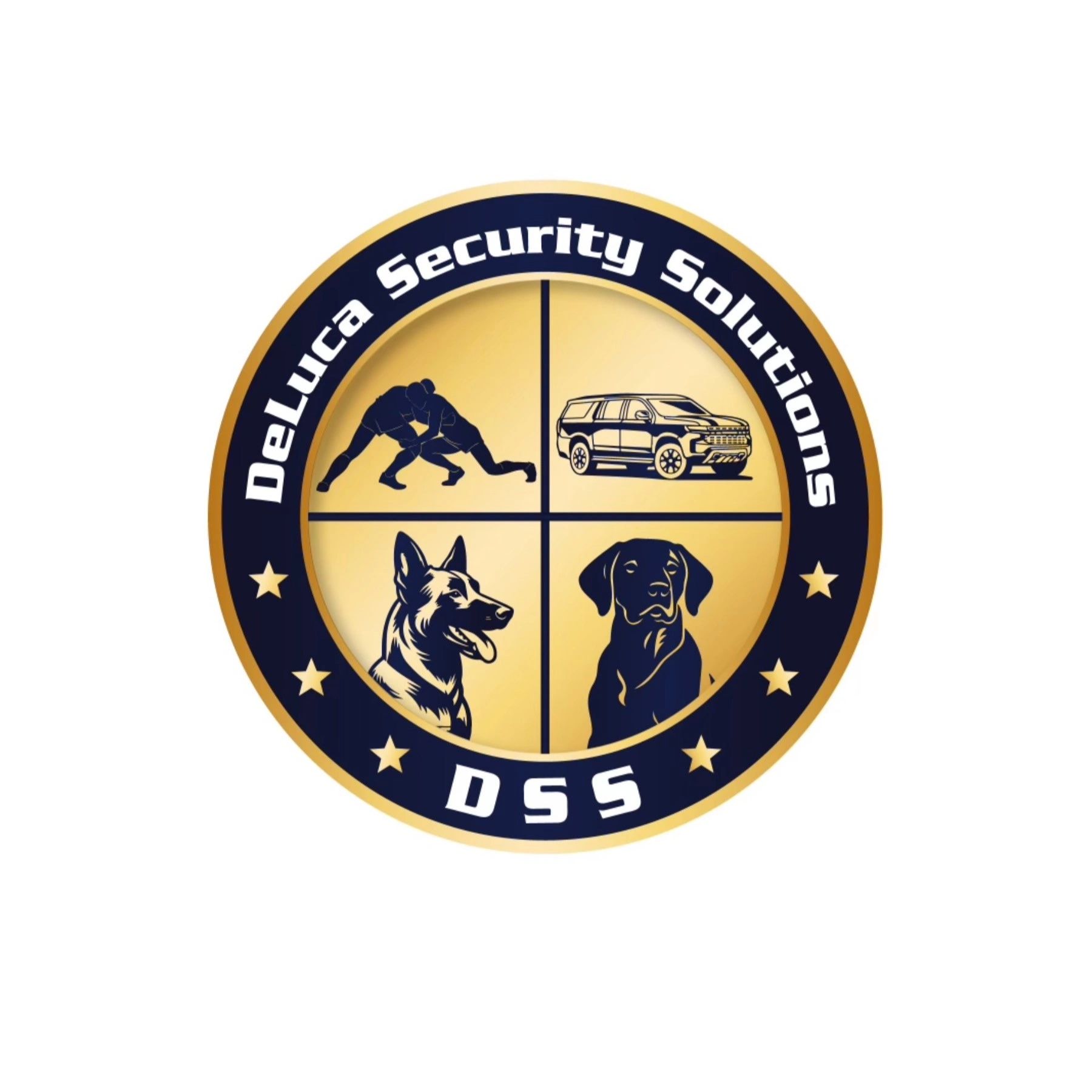 Deluca Security Solutions LLC